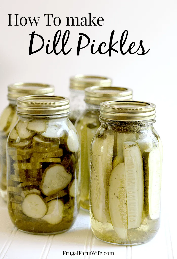 difference between dill and pickle