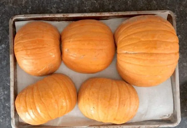 pumpkin freezing instructions